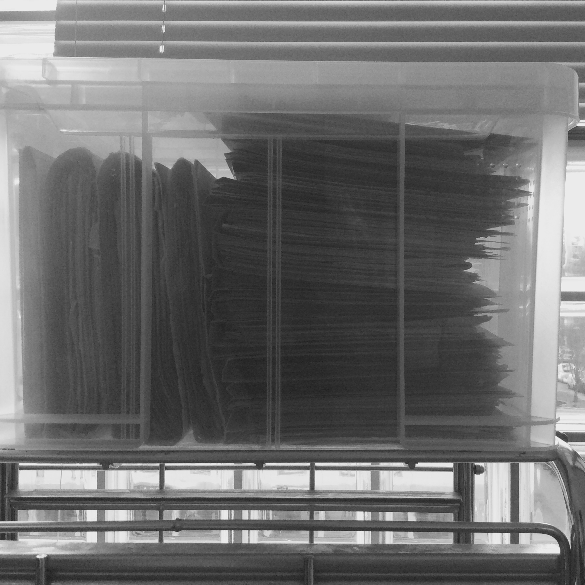 On having a corner window – Amanda Cellini